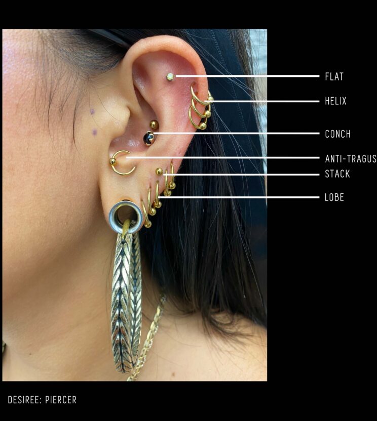 Piercing - Sink Or Swim Studio And Gallery